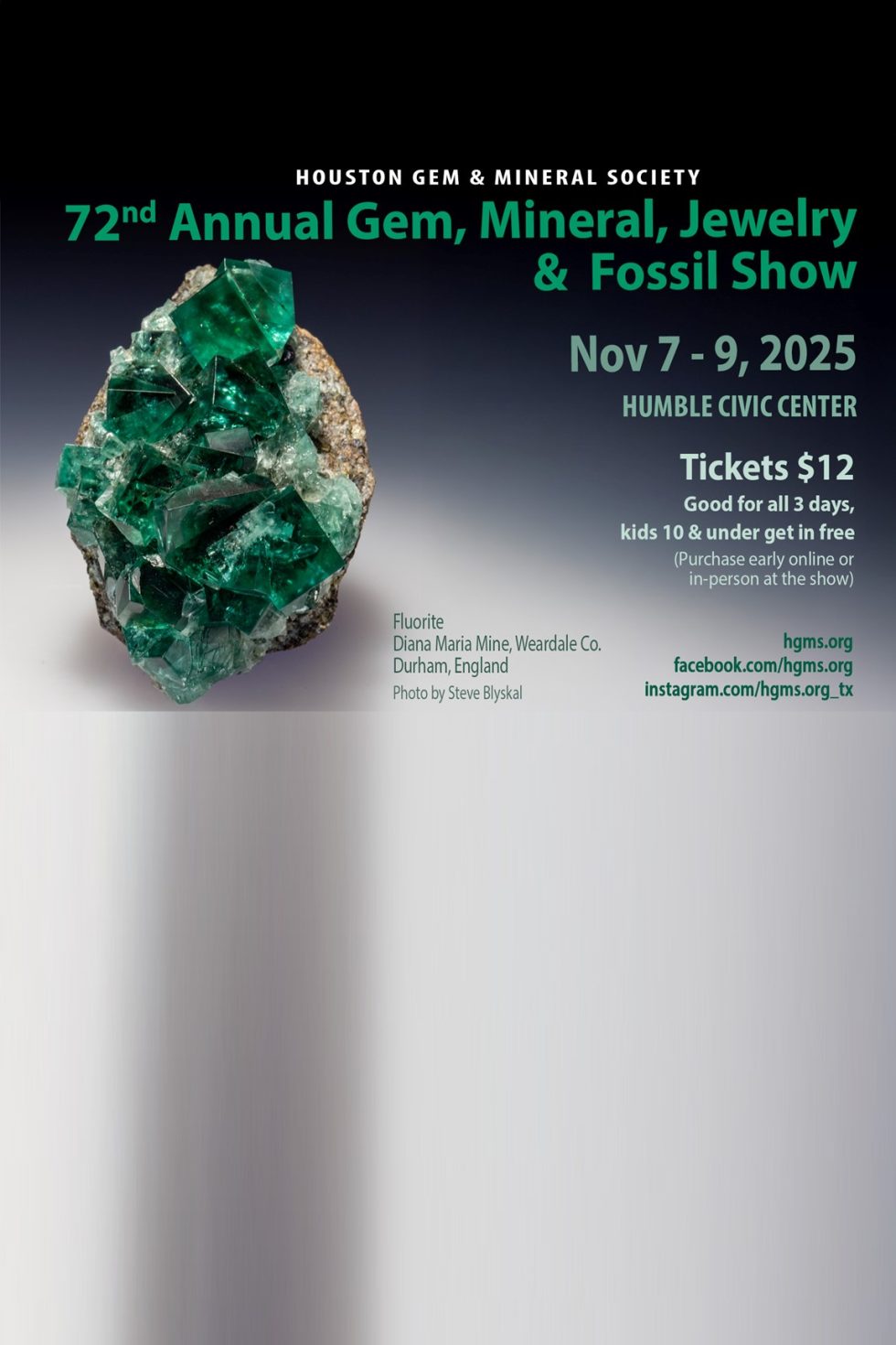 HOUSTON GEM & MINERAL SHOW | Visit Humble, Texas